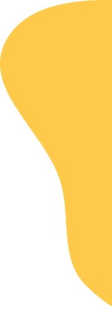 About – Future Focus Wellbeing and Resilience